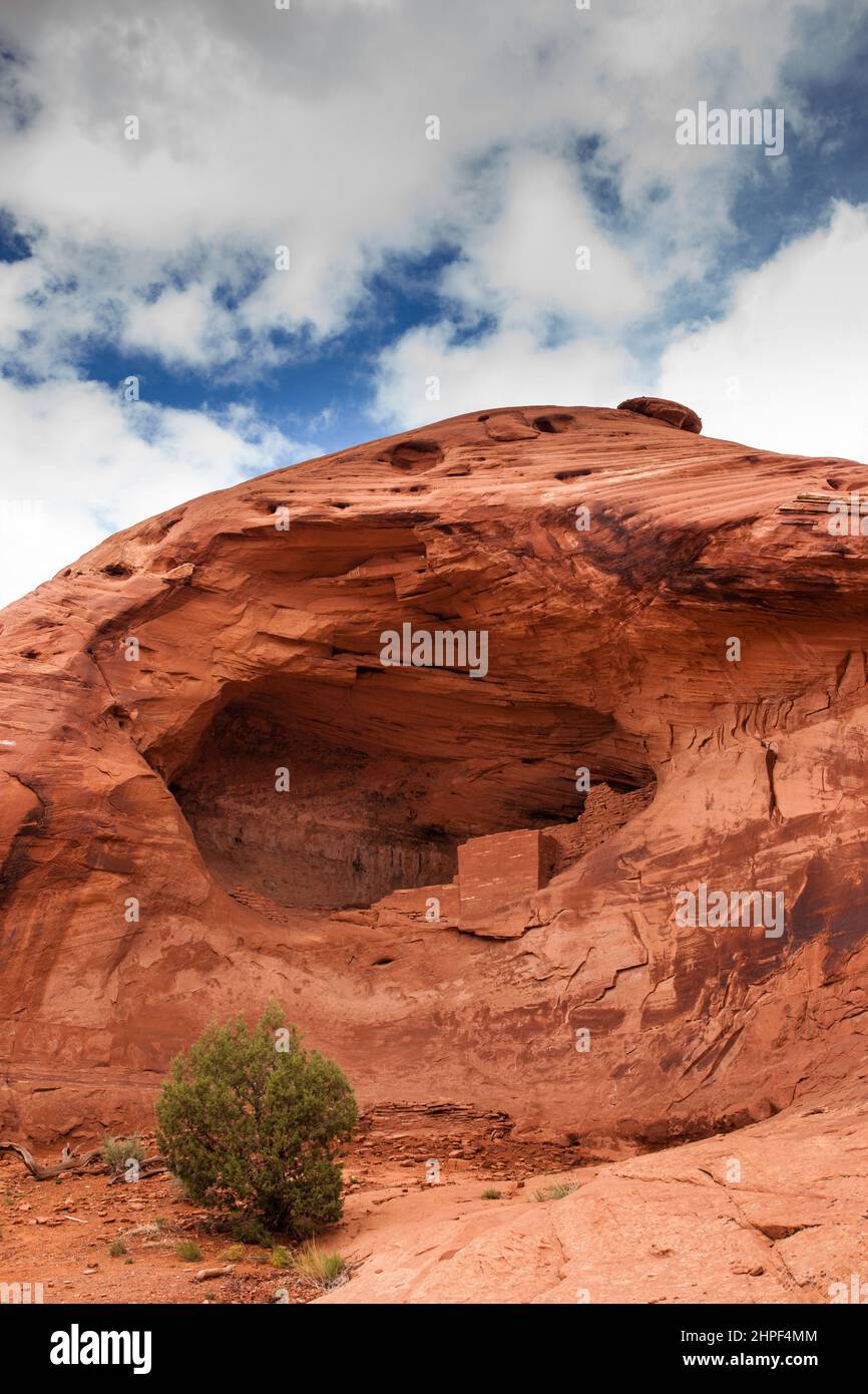 The Square House Ruin is a small 1000-year old Ancestral Puebloan cliff ...