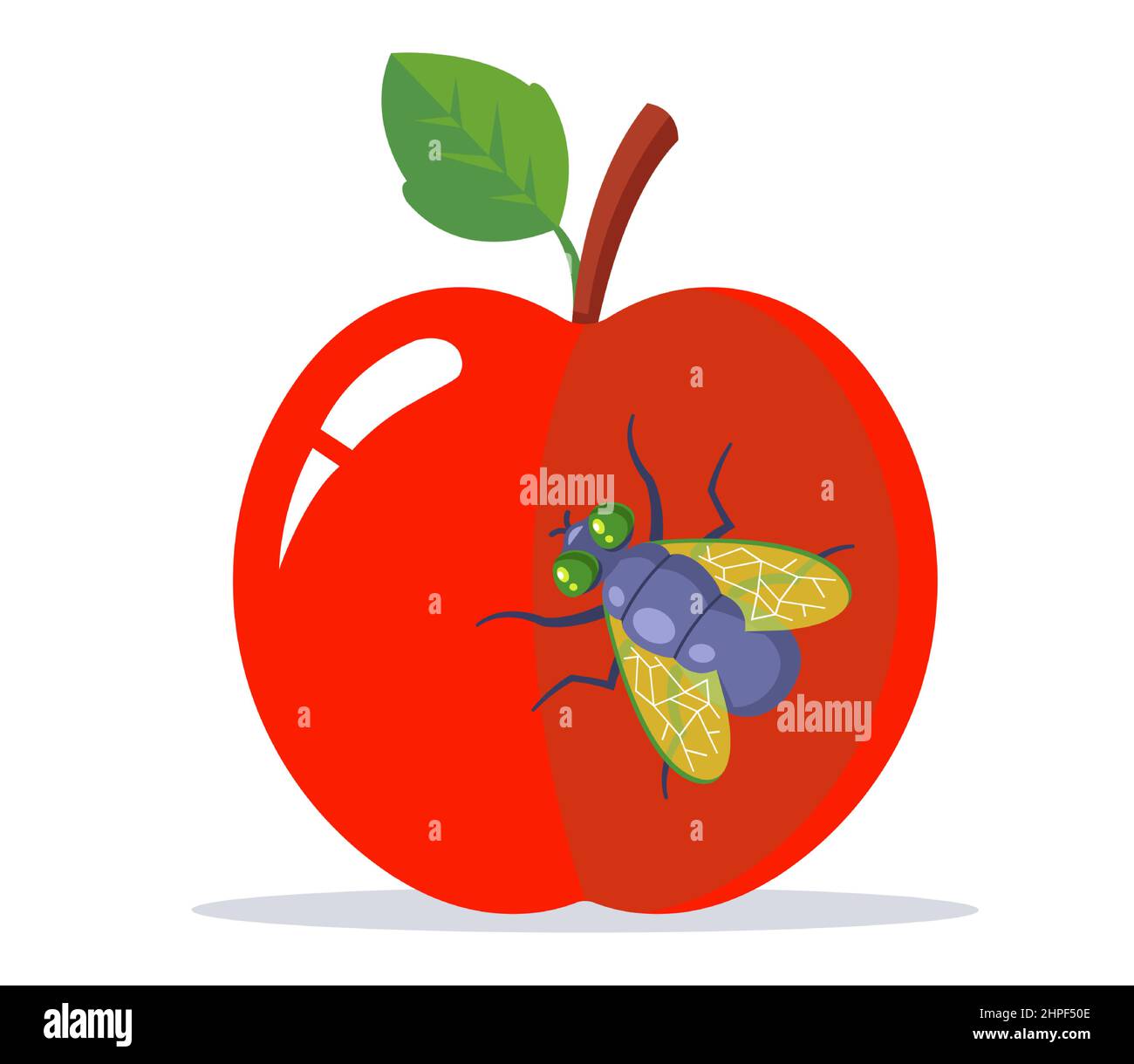 a big fly sits on a red apple. flat vector illustration Stock Vector ...