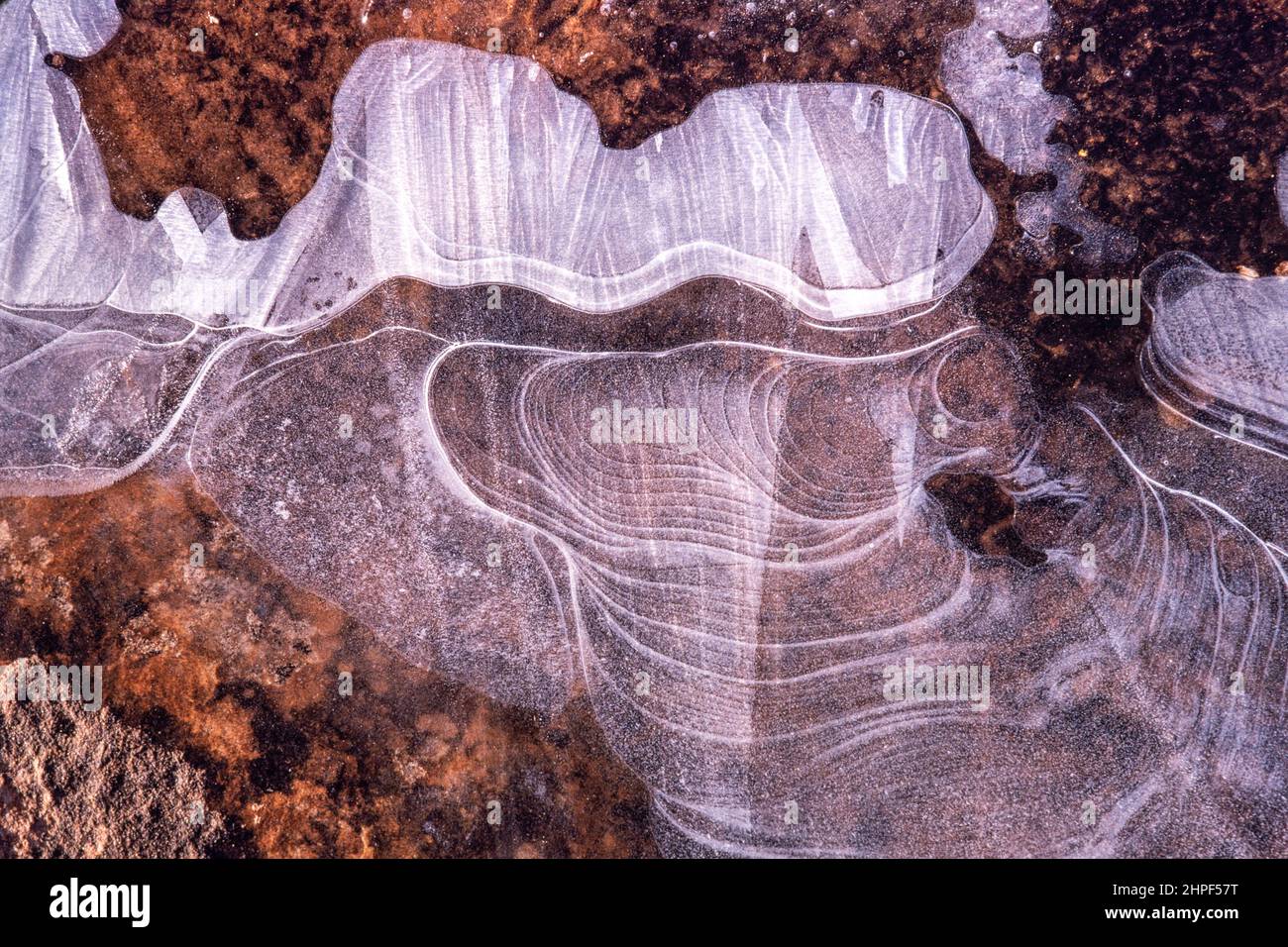 Frozen patterns in ice on sandstone in winter in Arches National Park ...