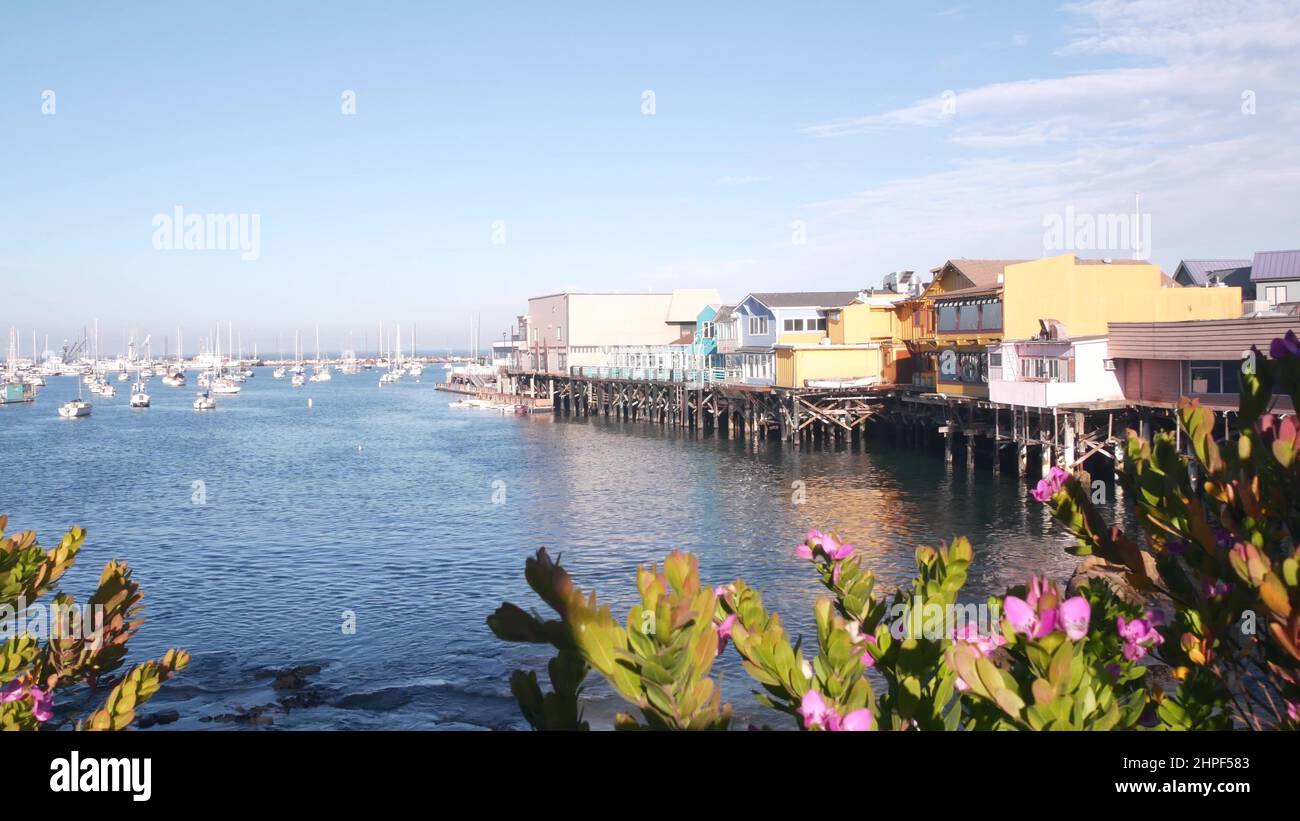 Colorful wooden houses on piles or pillars, ocean bay or harbor, sea ...