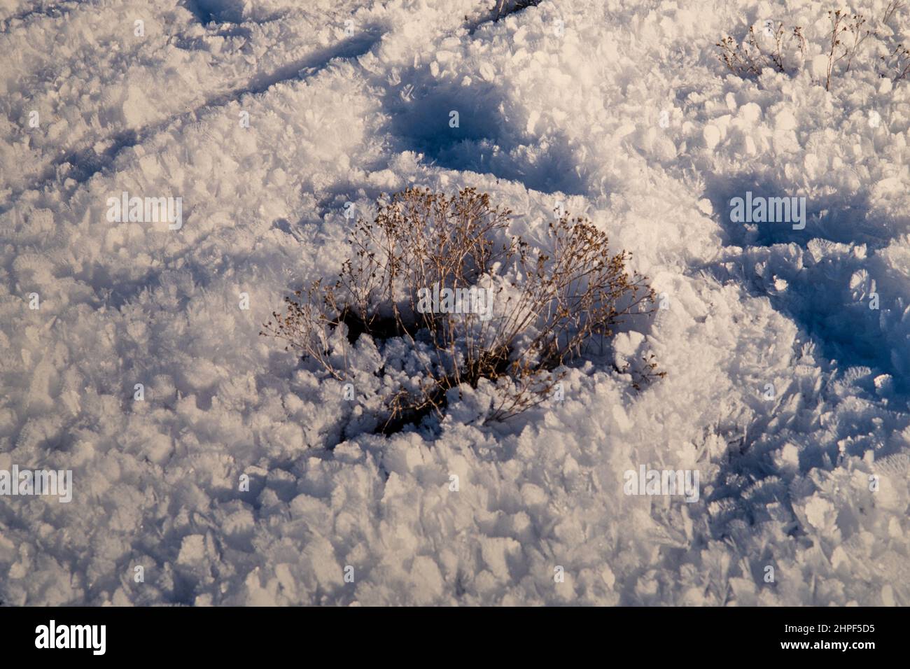 Freezing desert hi-res stock photography and images - Alamy