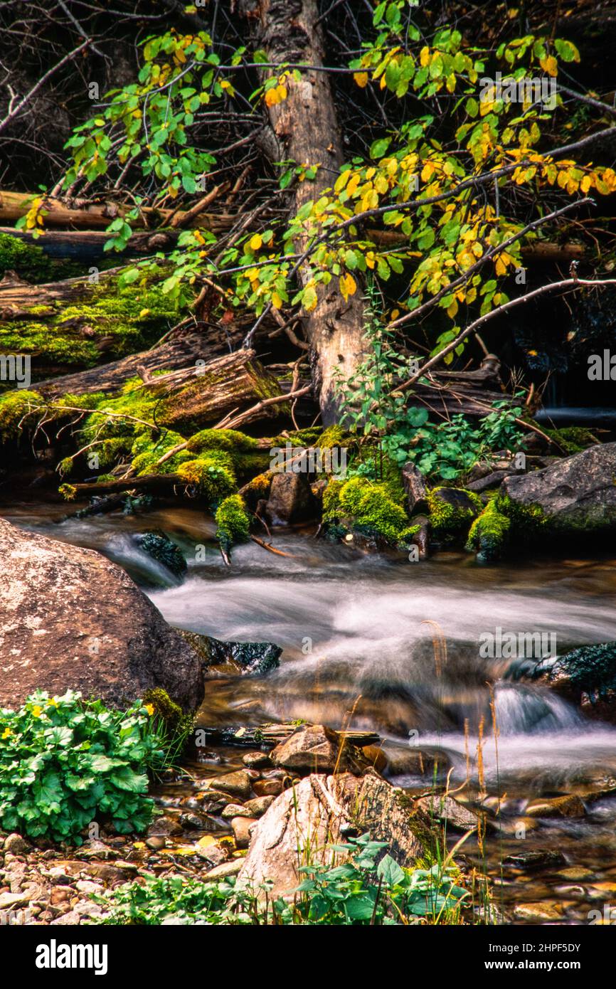 Fall color along Mill Creek in the La Sal Mountains of the Manti-La Sal ...