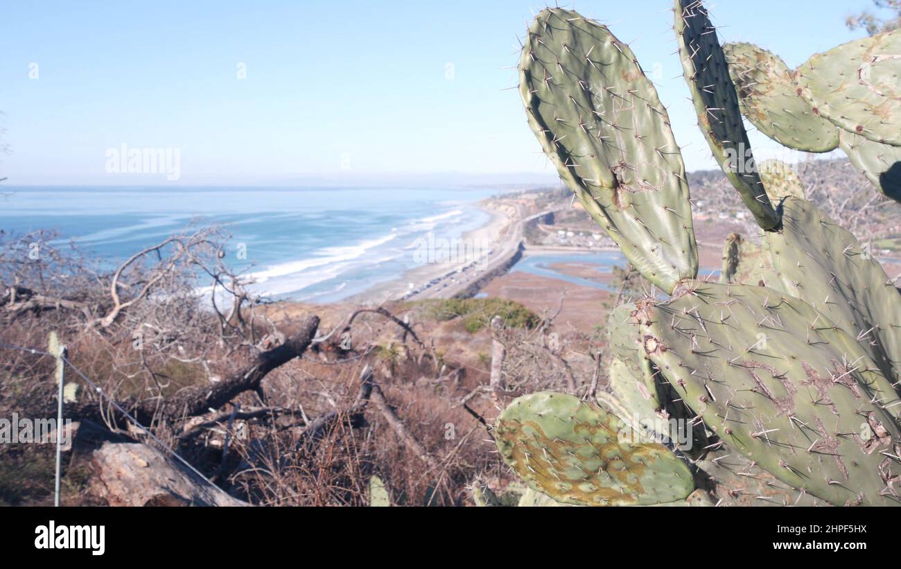 Pacific coast highway, Torrey Pines state beach, road 1 or freeway 101 ...