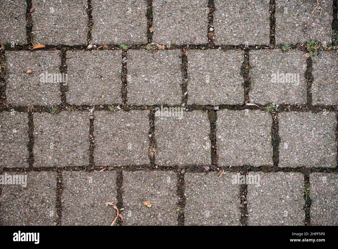 Old square stone pavement with moss texture between background Stock ...