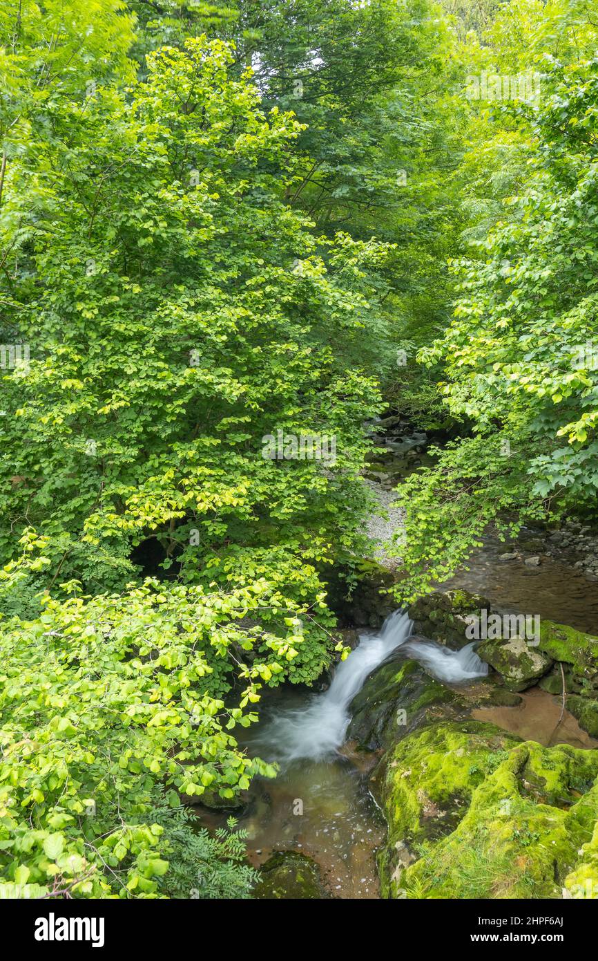 Ethnographic Complex of Tourist Interest of Tielve, Duje River ...