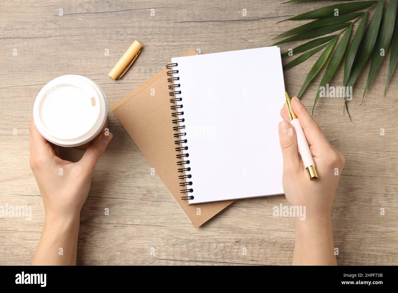 Concept of stationary accessories, space for text Stock Photo - Alamy