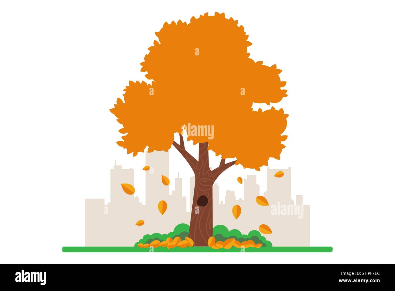 in the fall, yellow leaves fall from the trees to the ground. flat ...