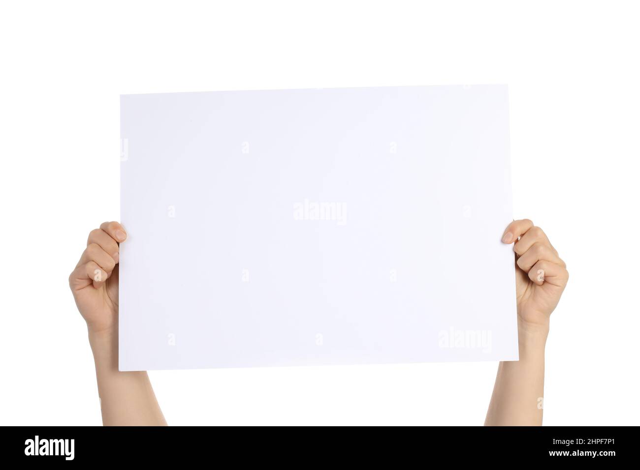 Female hands hold blank banner, isolated on white background Stock ...