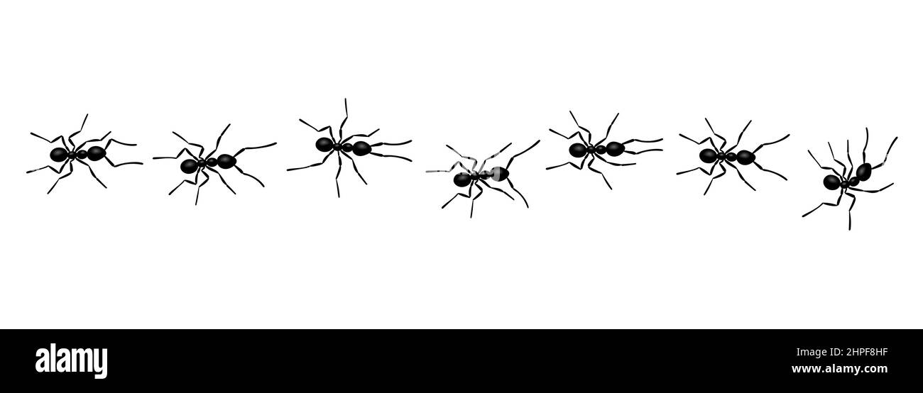 Worker ants trail line flat style design vector illustration isolated on white background Stock ...