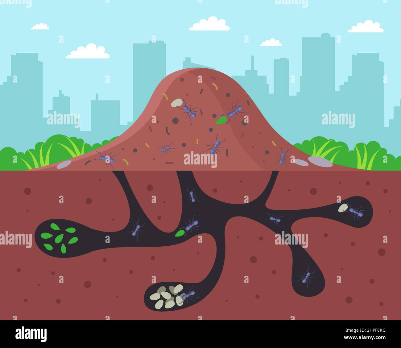 a large anthill with passages underground. flat vector illustration ...