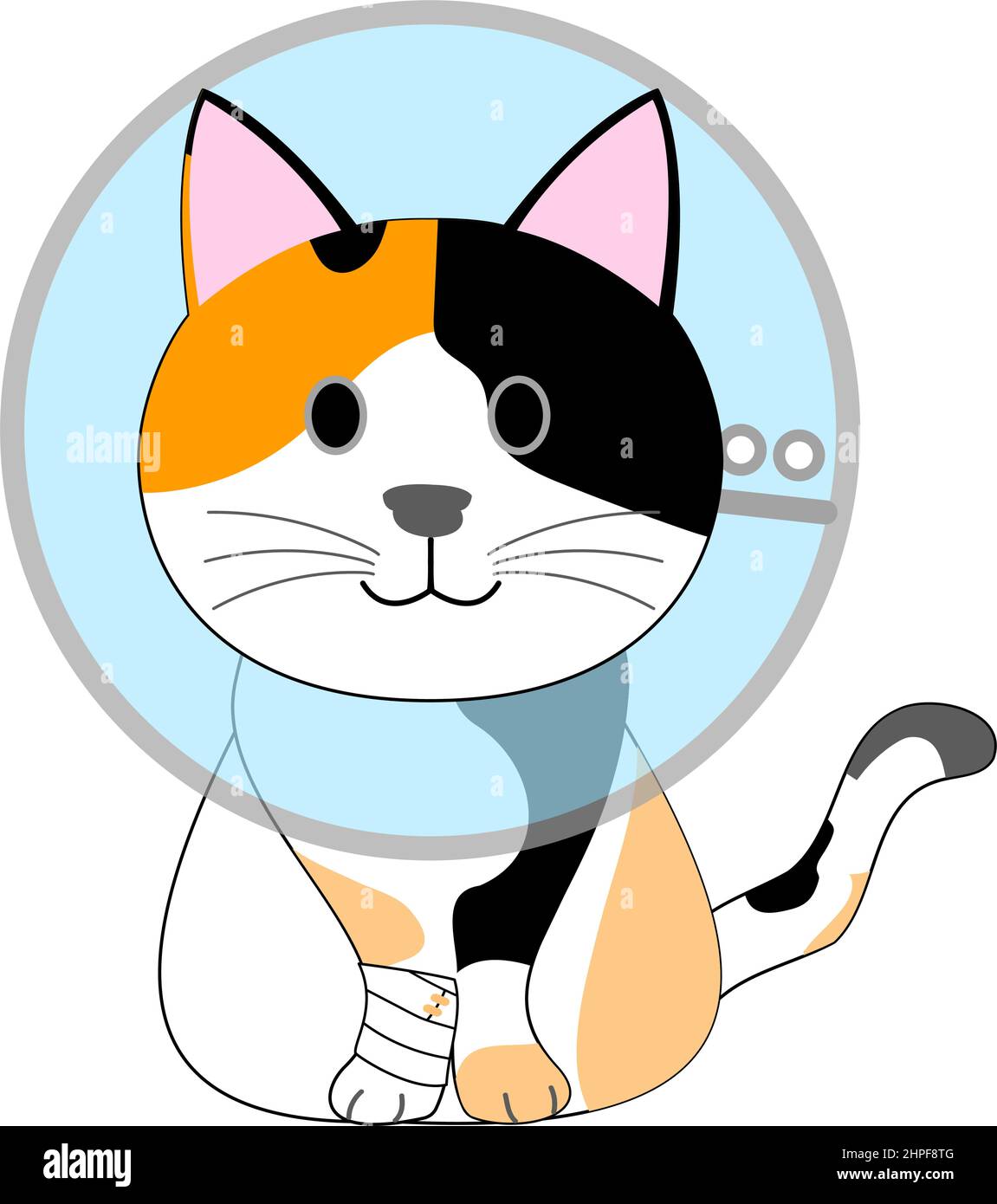 Tortoiseshell Stock Vector Images - Alamy