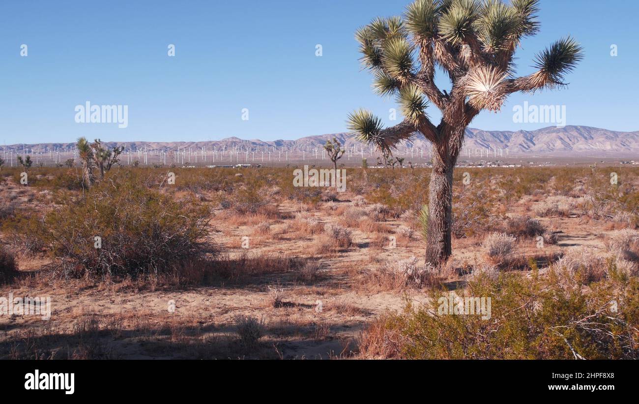 Windmills turbine rotating, wind farm or power plant, green renewable ...