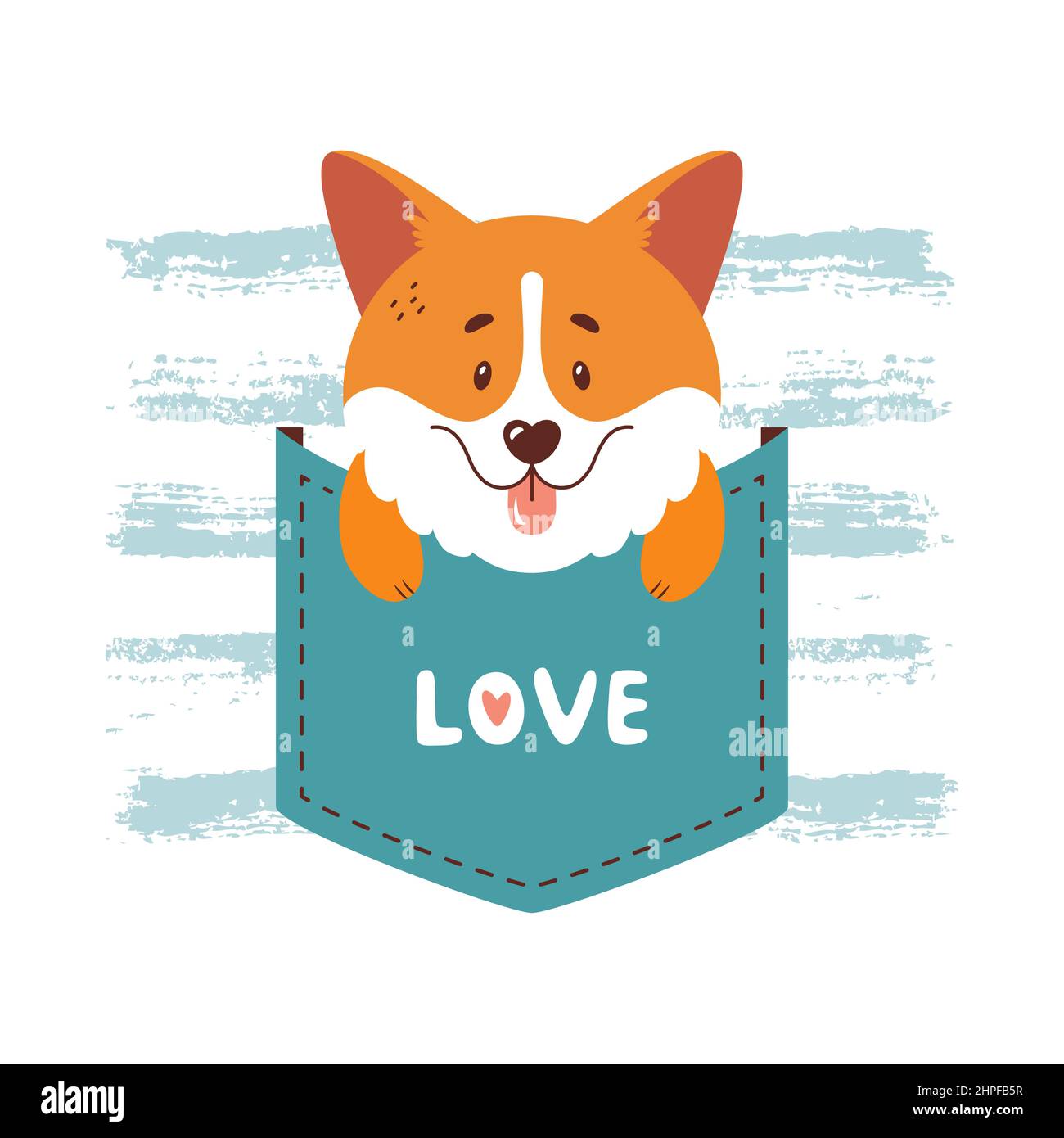 Corgi sitting inside the pocket - cute vector illustration isolated on ...