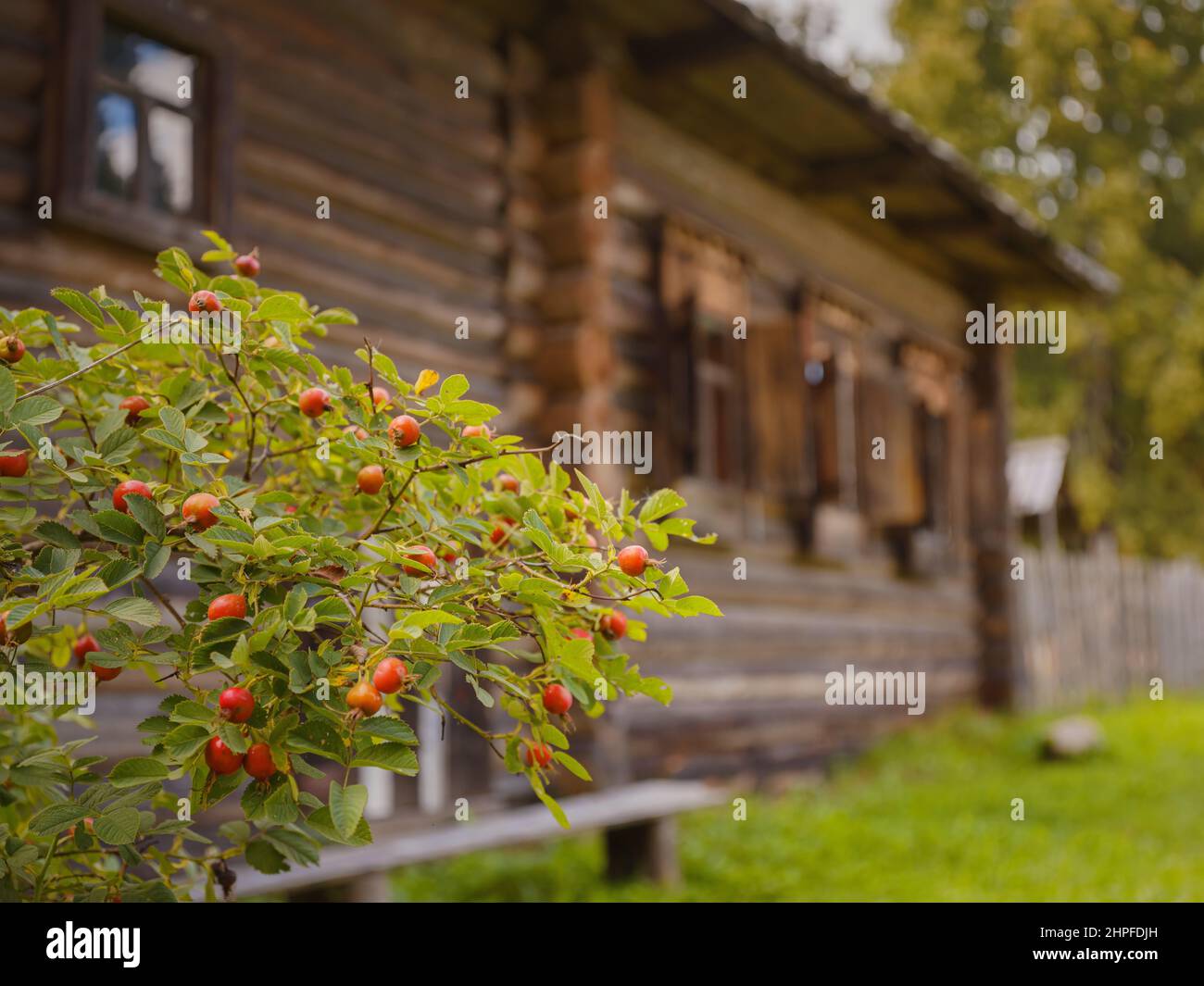 summer travel to Russia, Torzhok city. Architectural and Ethnographic ...