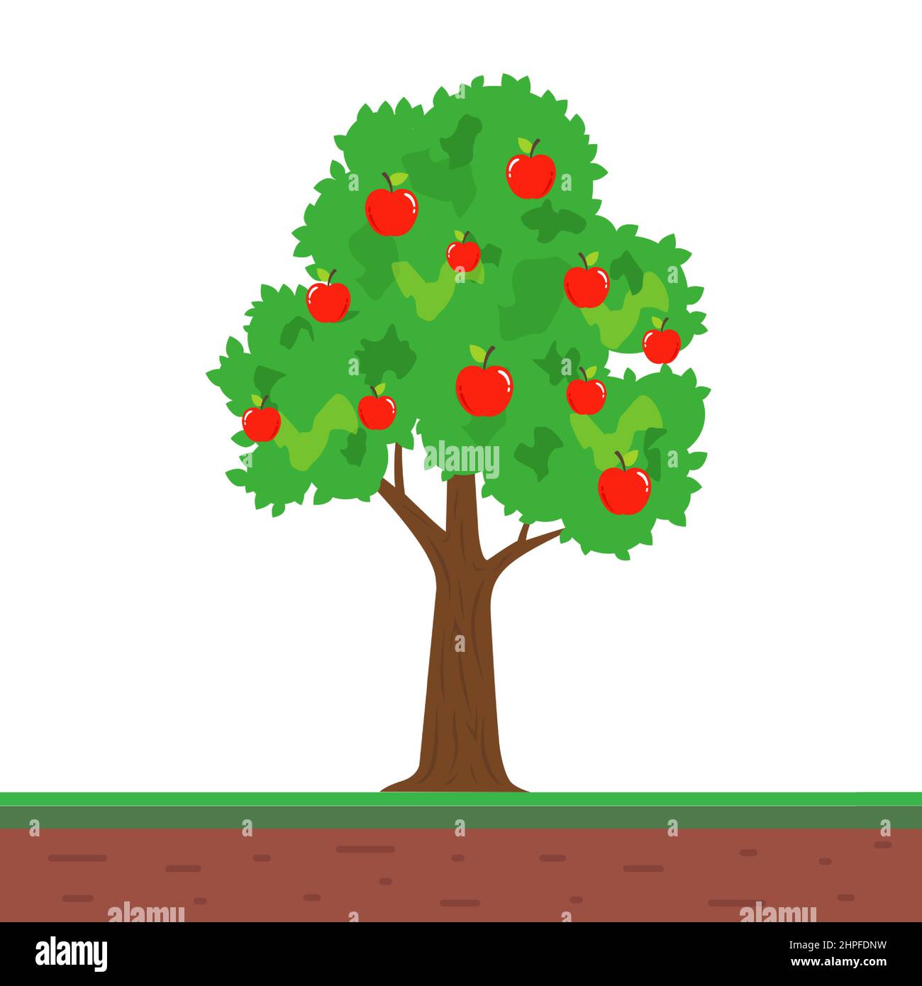 Apple Tree Trunk Clipart