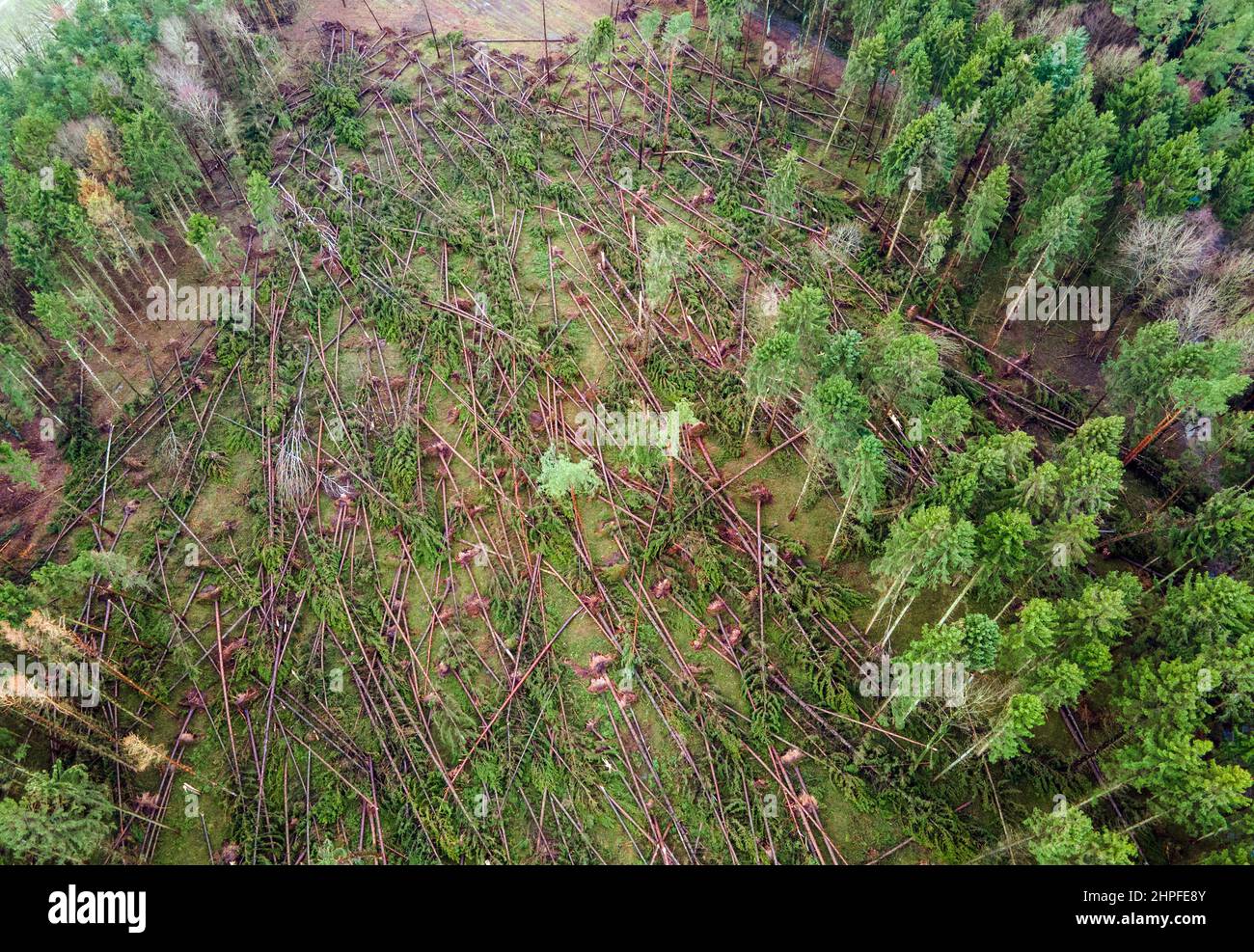 Uprooted trees storm aerial hi-res stock photography and images - Alamy