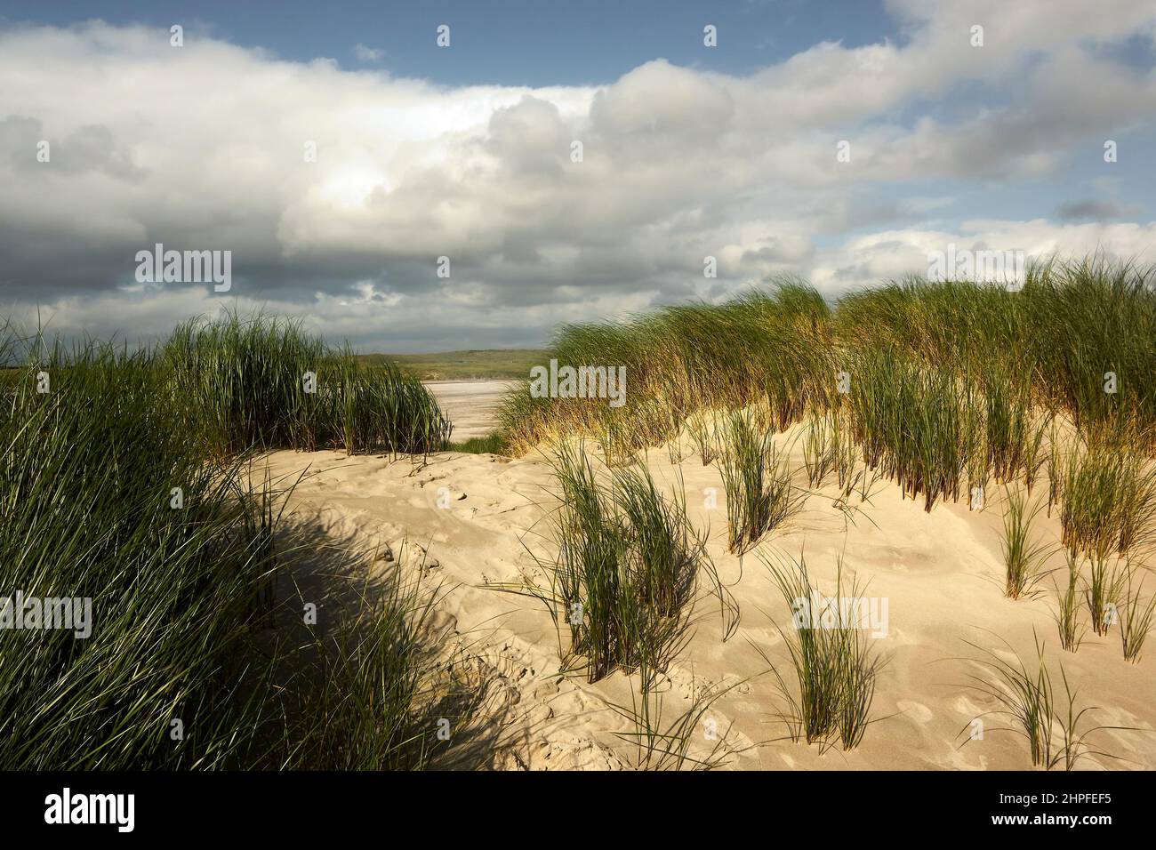 View of beach with sandy dunes in the Northern Ireland Stock Photo - Alamy