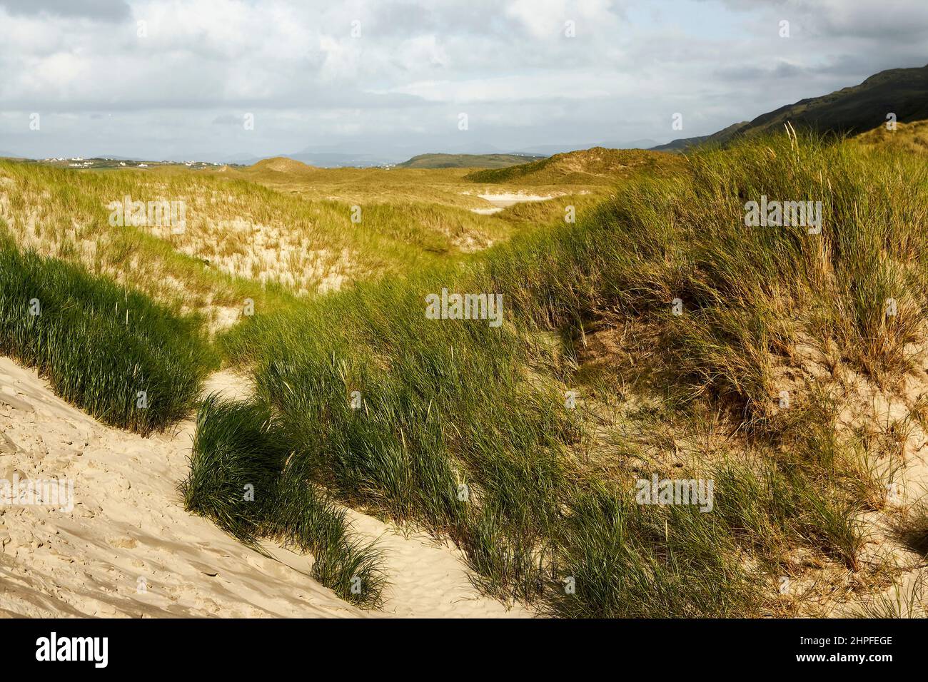 View of beach with sandy dunes in the Northern Ireland Stock Photo - Alamy