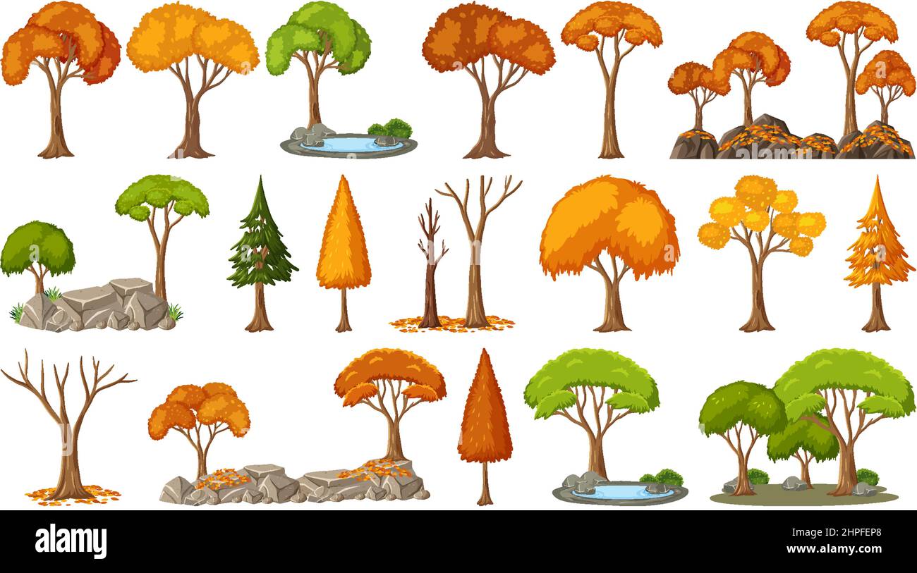 Set of four seasons trees on white background illustration Stock Vector ...