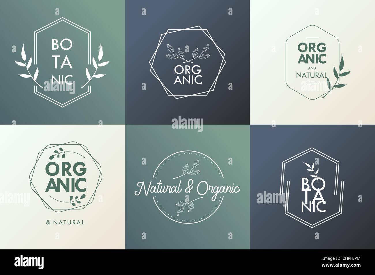 Set of badges, banner, labels and logos for botanical natural product ...