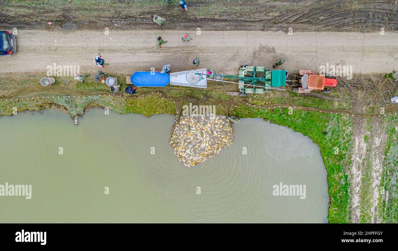 Above top view on equipment and mechanization with fishing scoop at ...