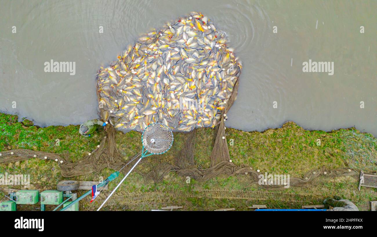 Above top view on equipment and mechanization with fishing scoop at ...