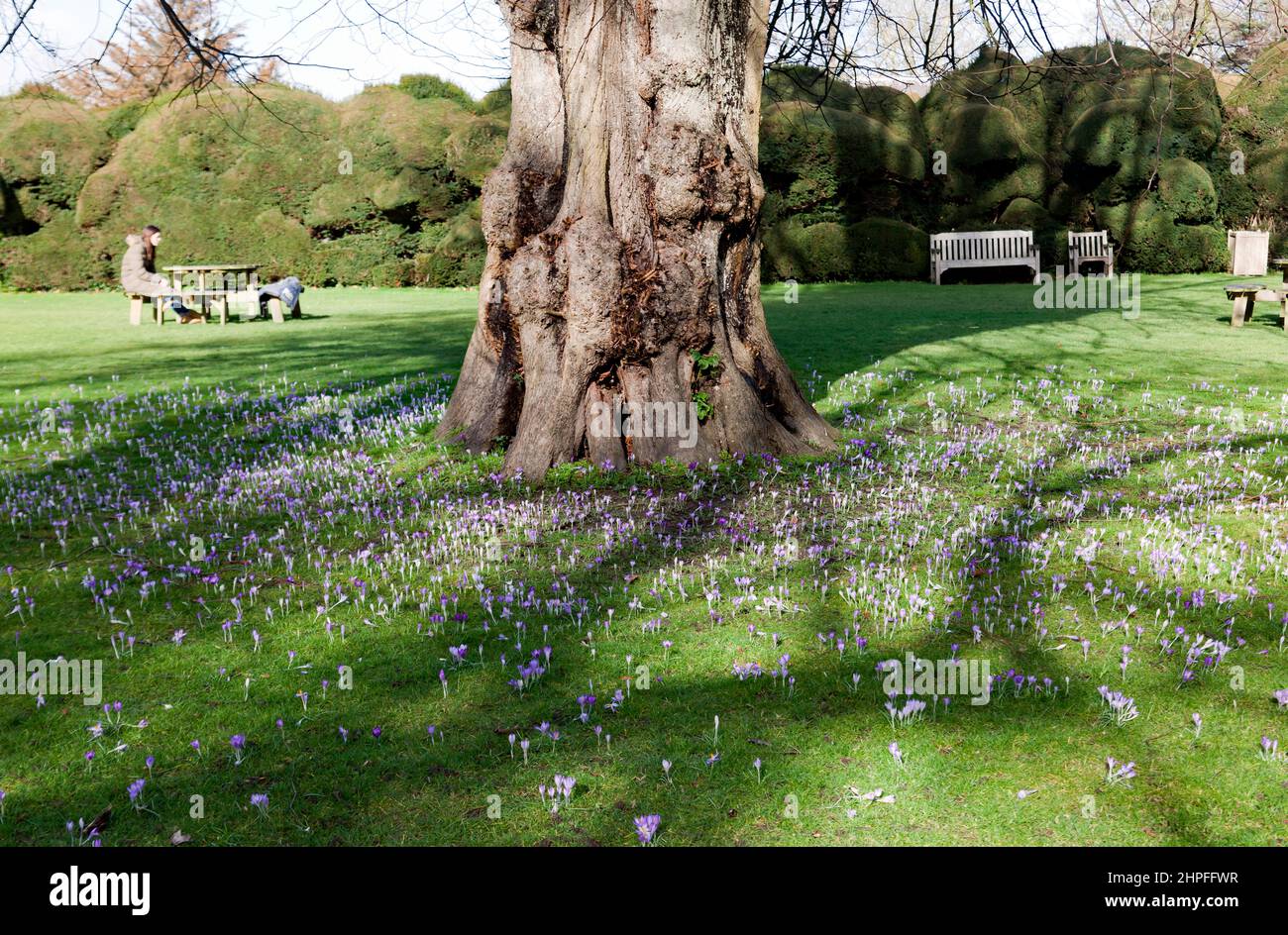 Undulating cloud hedge hi-res stock photography and images - Alamy