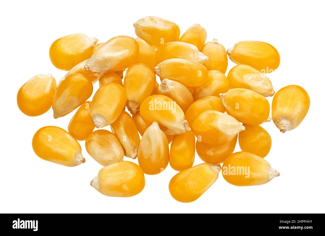 Corn grains isolated on white background, full depth of field Stock ...
