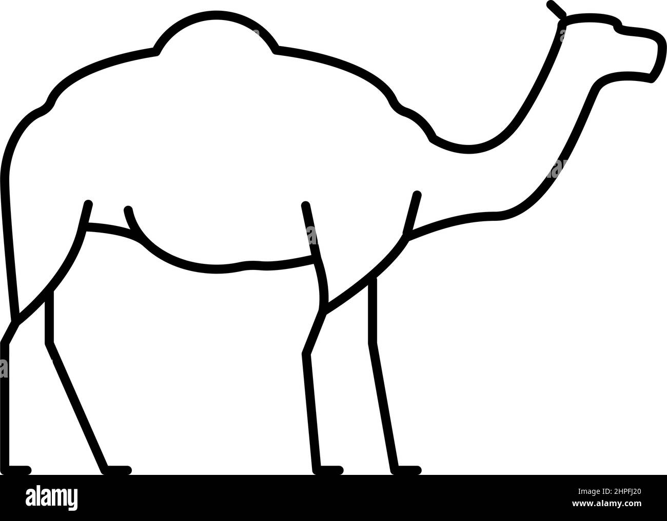 camel animal line icon vector illustration Stock Vector Image & Art - Alamy