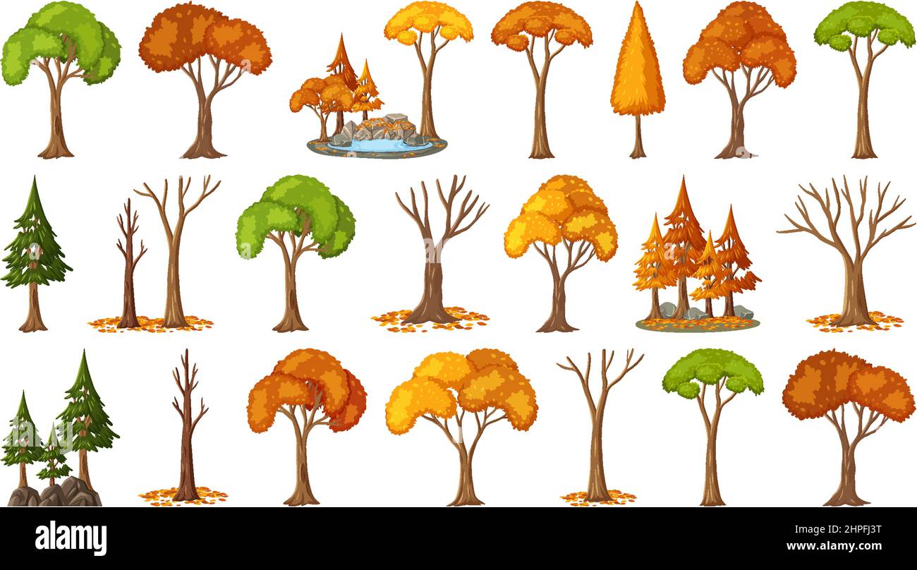 Set of four seasons trees on white background illustration Stock Vector ...
