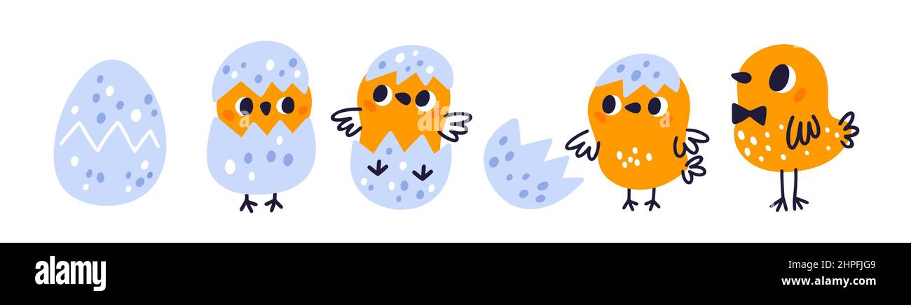 Chicken hatching from eggs. Cartoon baby bird. Birth and development ...