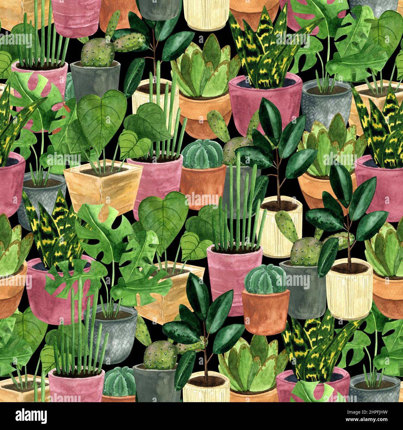 Watercolor potted plants hi-res stock photography and images - Alamy