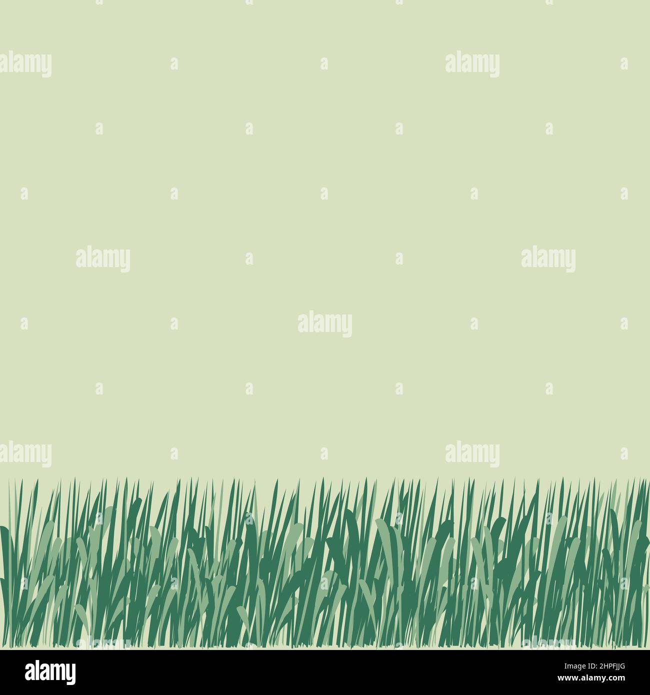 Simple seamless border green grass isolated on white background ...