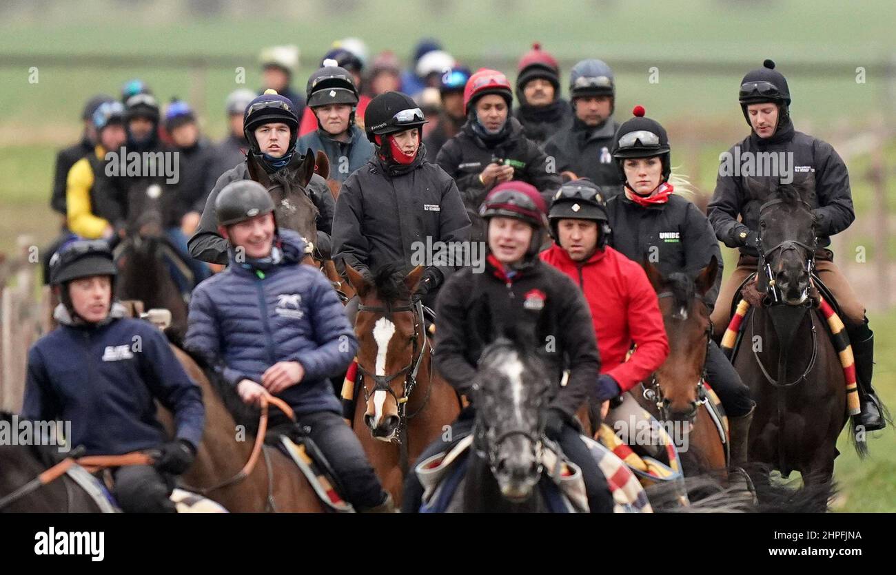 Horses return from the gallops during the visit to Nicky Henderson's ...