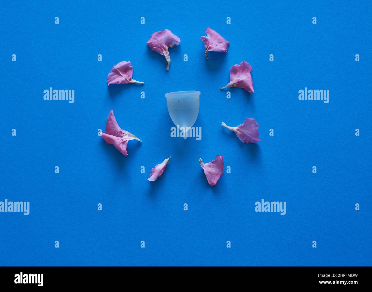 Menstrual cup and flowers representing blood on a blue background Stock ...