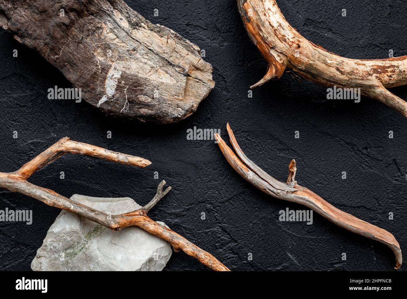 Natural mineral rock stones with snag tree branch Stock Photo - Alamy