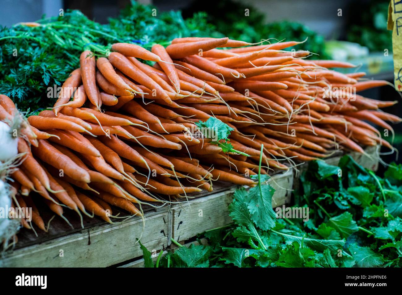 Carrot closeups hi-res stock photography and images - Alamy