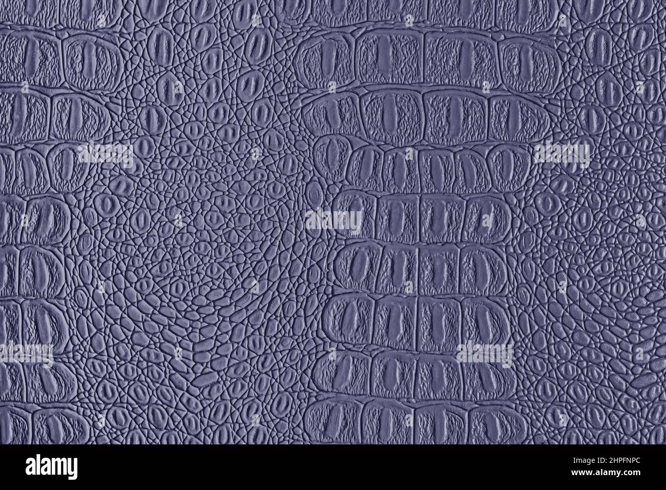 Blue crocodile leather texture. Abstract background for design Stock ...