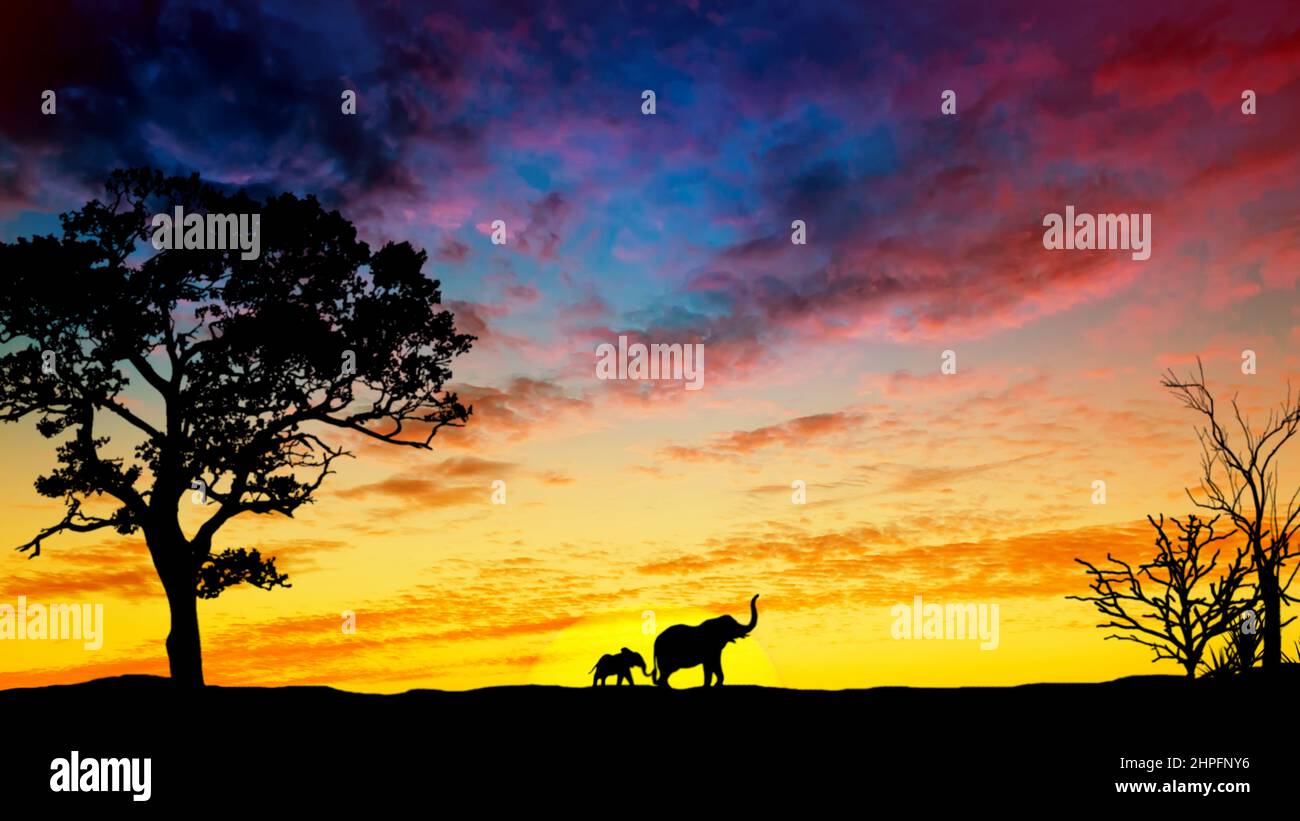 Desert landscape with a beautiful sunset and the silhouette of an ...