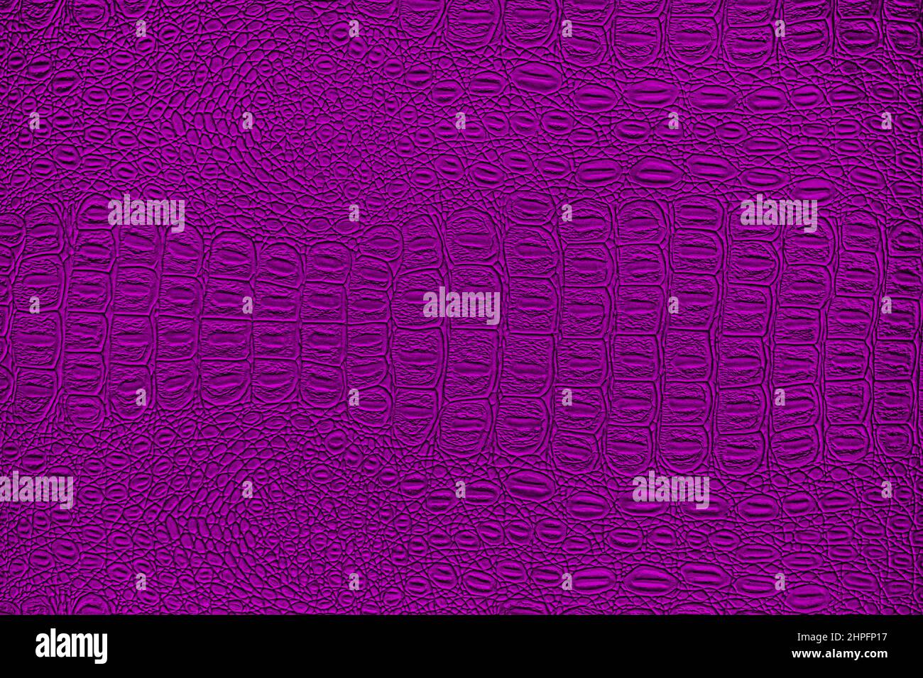 Purple crocodile leather texture. Abstract background for design Stock ...