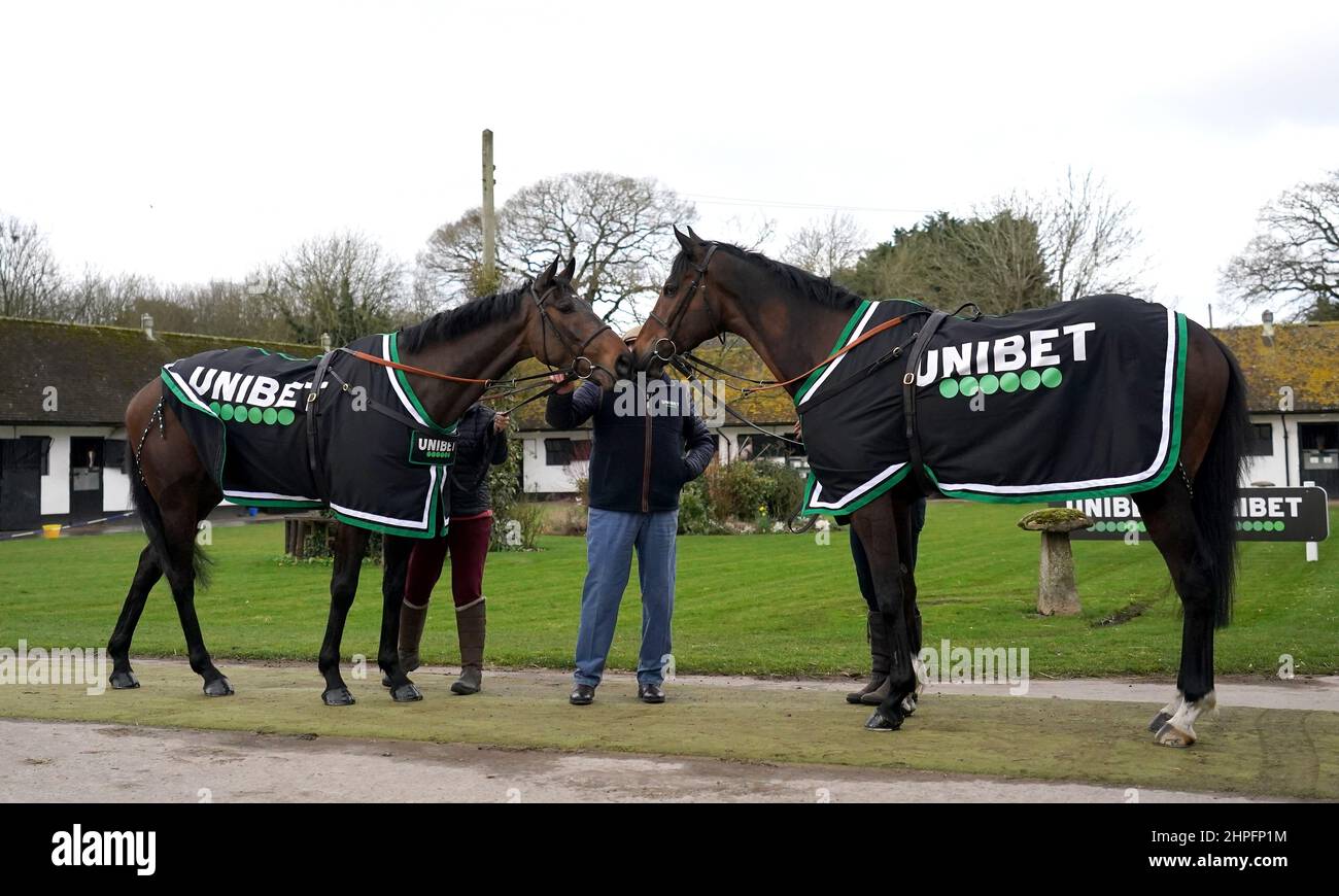 Nicky Henderson with horses Constitution Hill and Jonbon during the ...
