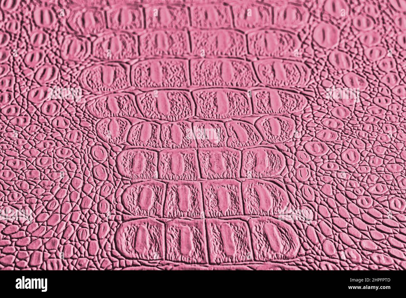 Pink crocodile leather texture. Abstract background for design Stock ...