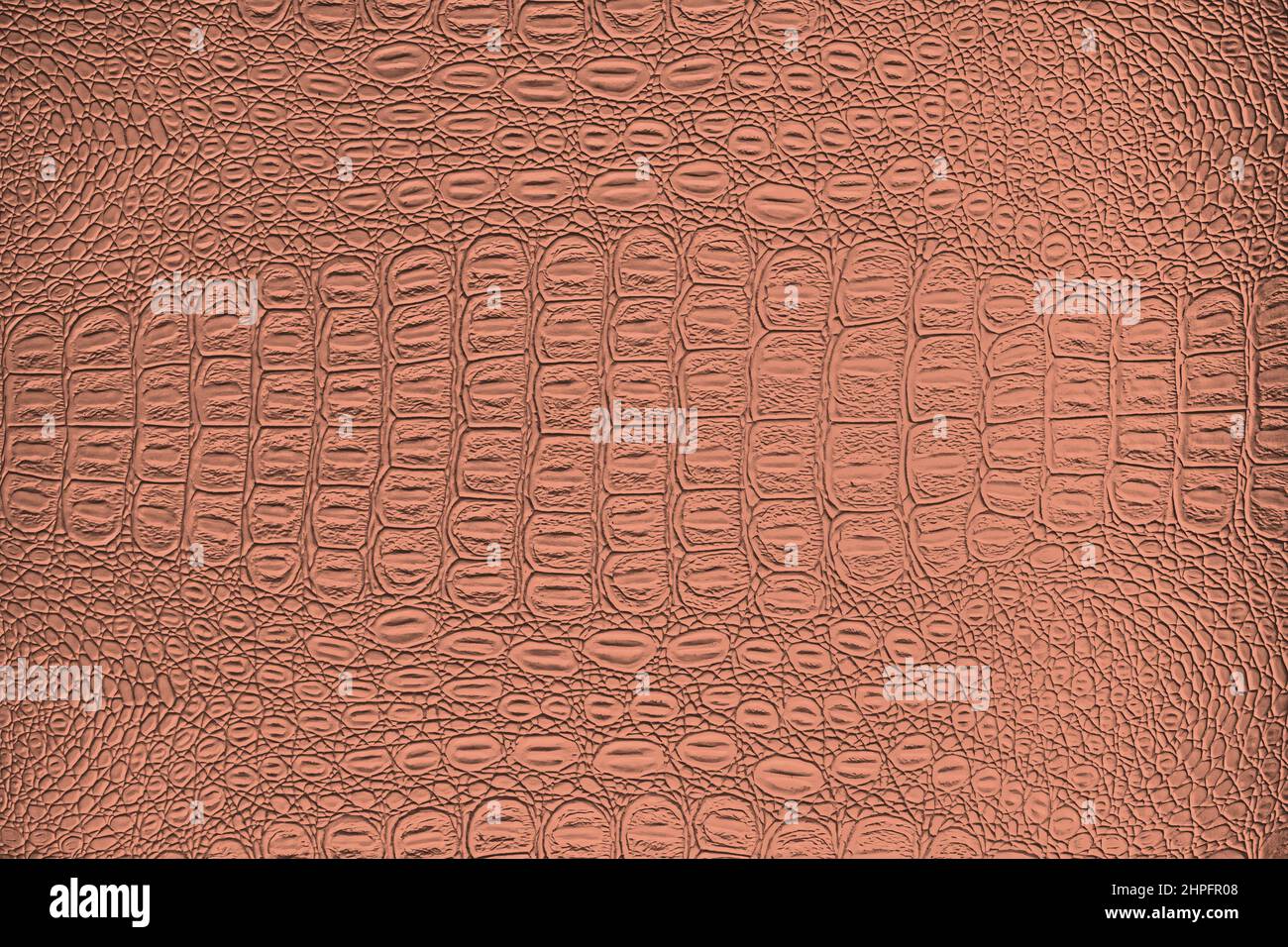 Orange coral crocodile leather texture. Abstract background for design ...