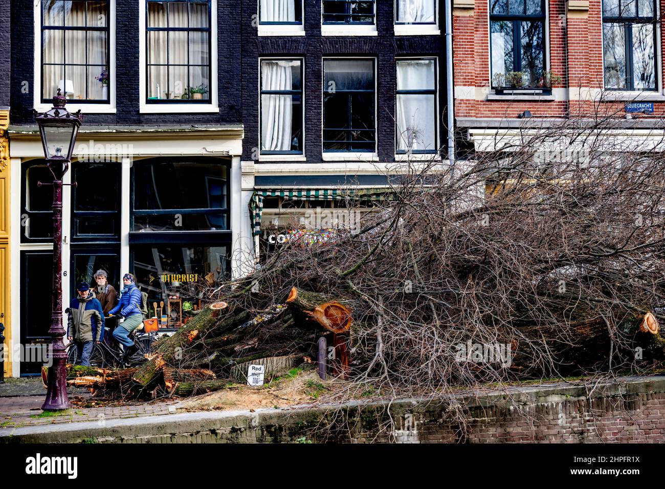 19 Feb. 2022 - AMSTERDAM - Fallen trees on the canals of Amsterdam, a ...