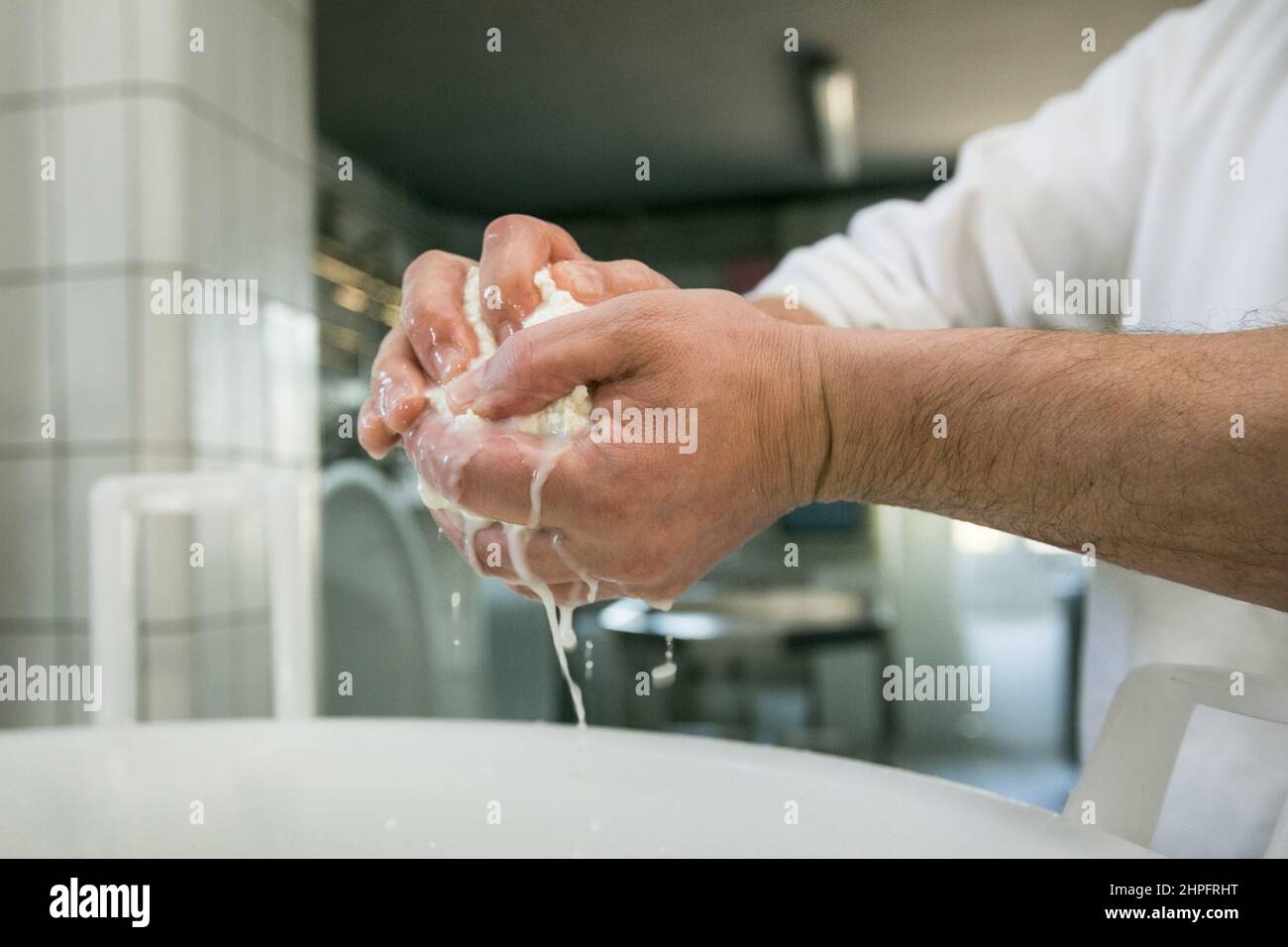 Buffalo mozzarella making Stock Photo - Alamy