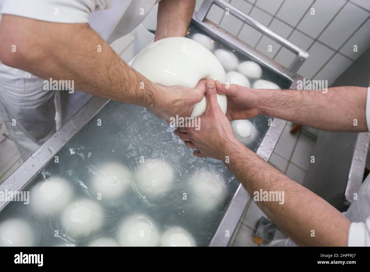 Buffalo mozzarella making Stock Photo - Alamy