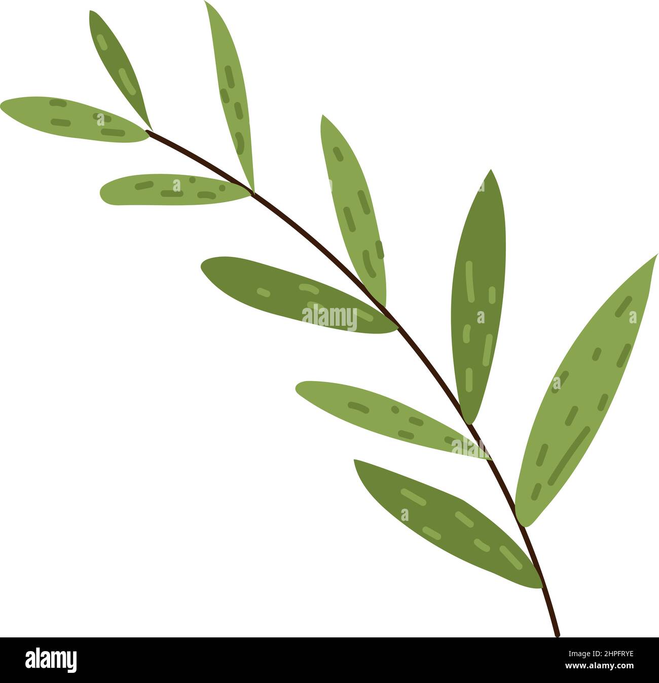 foliage leves plant Stock Vector Image & Art - Alamy