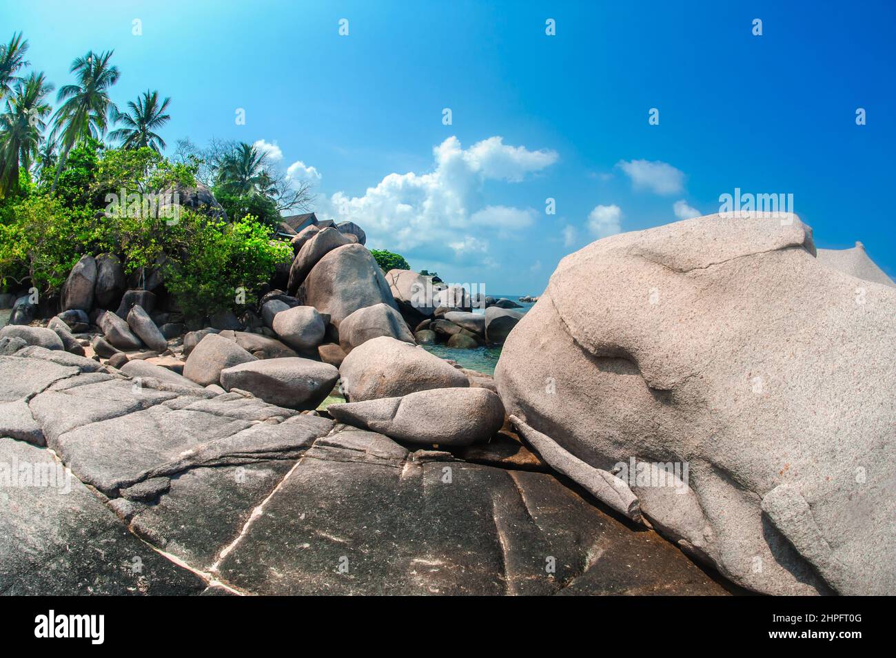 Beautiful tropical beach at exotic island with palm trees. Nature ...