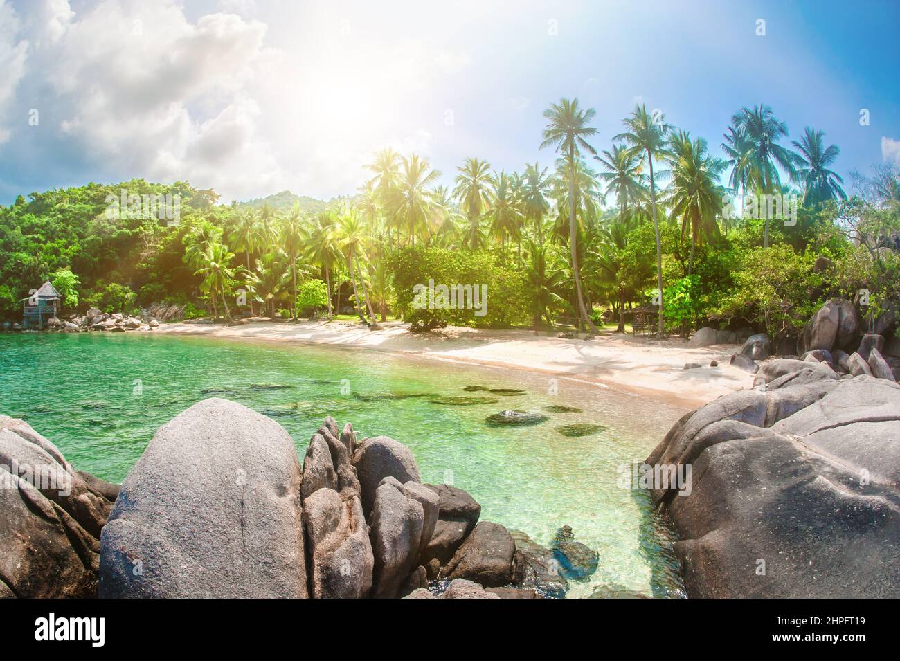 Beautiful tropical beach at exotic island with palm trees. Nature ...