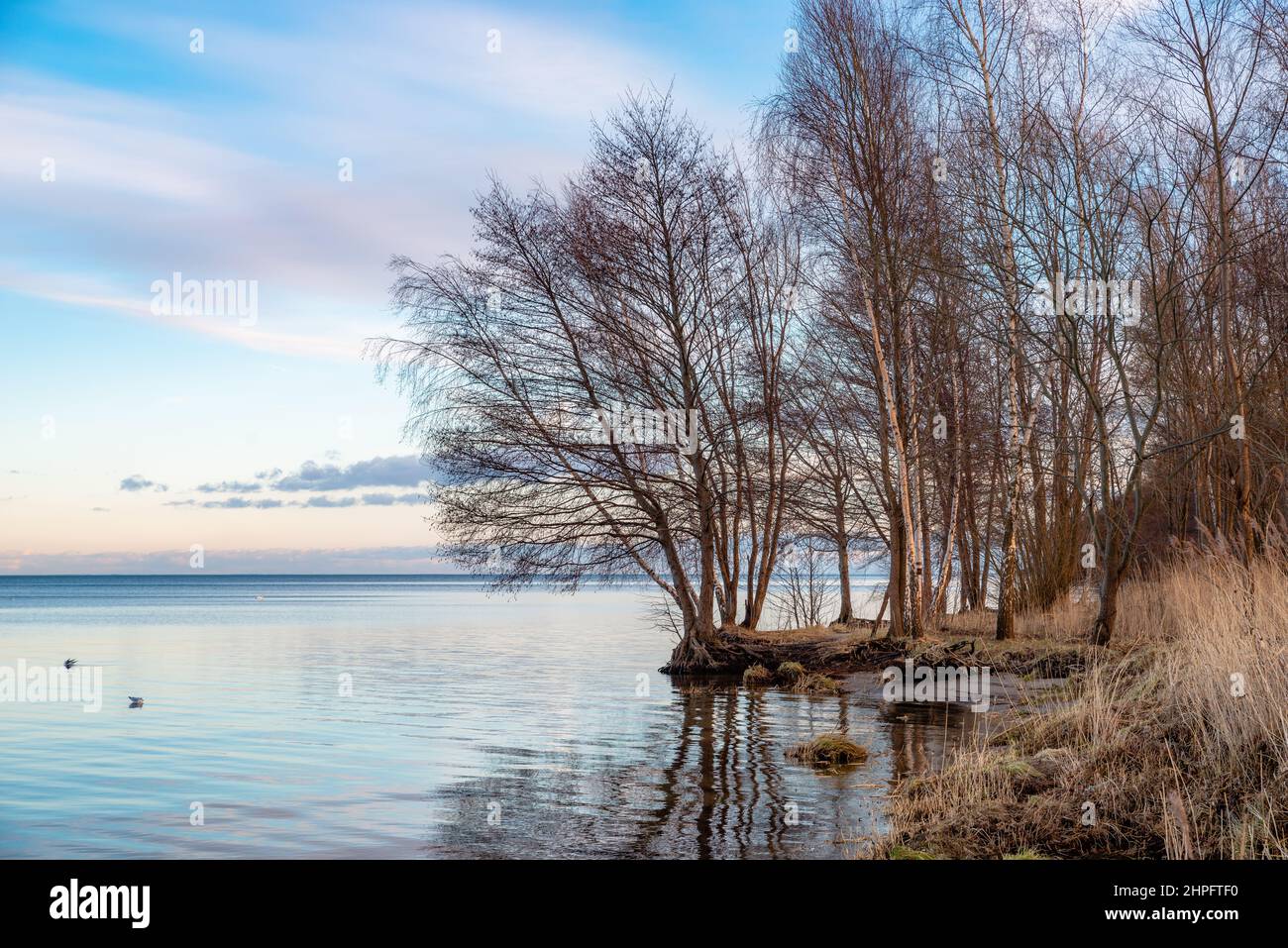 winter landscape on the beach in Puck Stock Photo - Alamy
